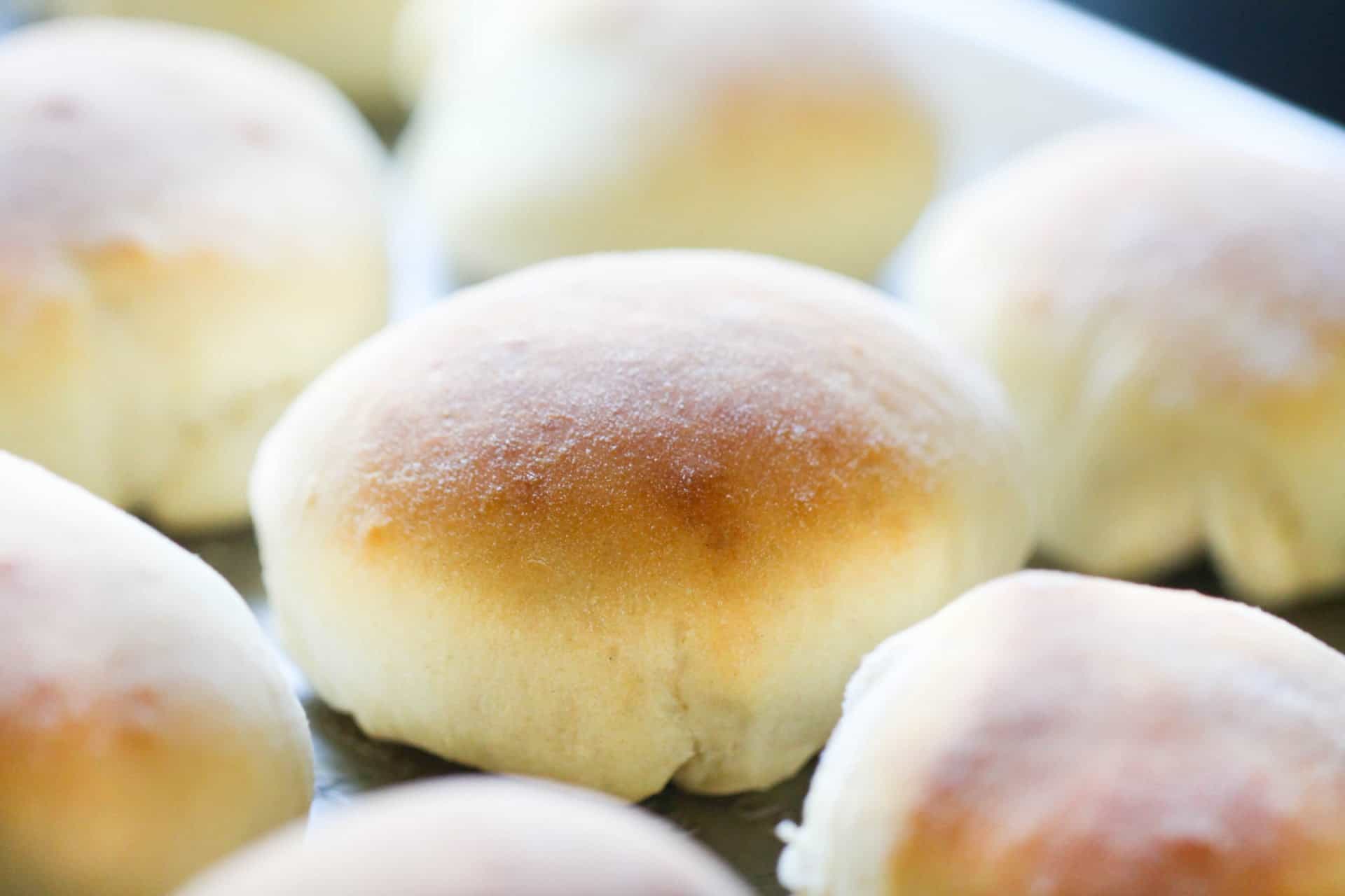 Instant Pot Rolls Recipe - Six Sisters' Stuff