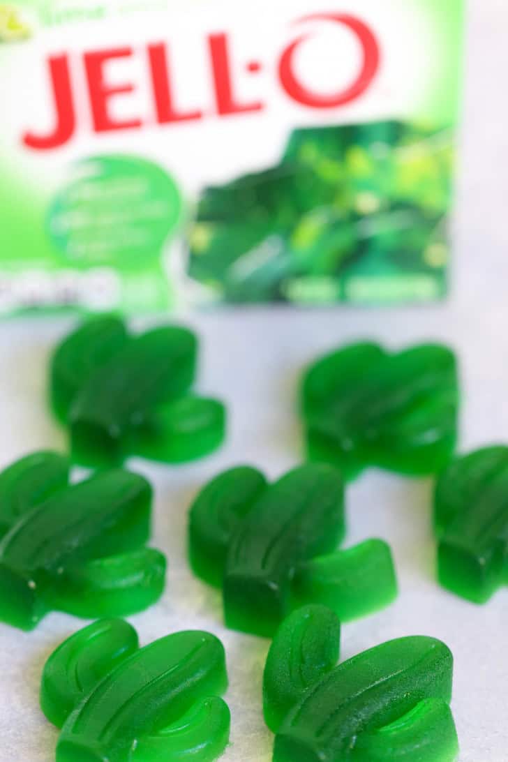 Homemade Jello Fruit Snacks Recipe (3 Ingredients)