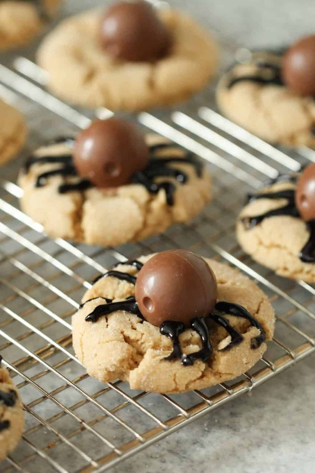 Peanut Butter Spider Cookies Recipe - Six Sisters' Stuff