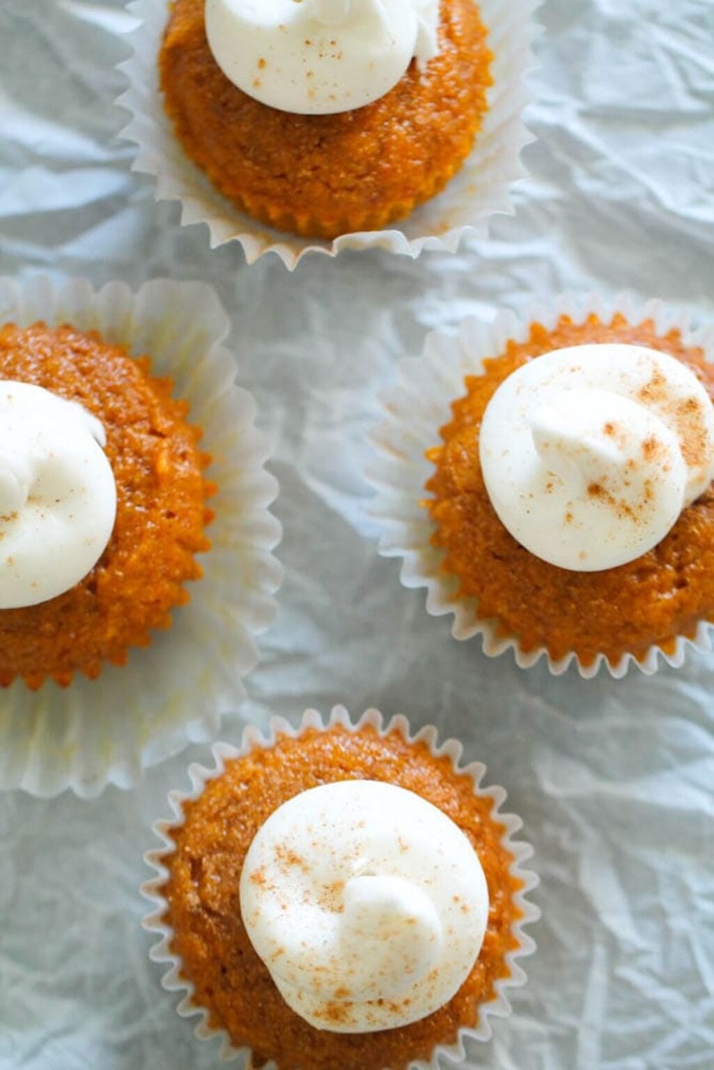 Homemade Fresh Pumpkin Pie Recipe - Six Sisters' Stuff